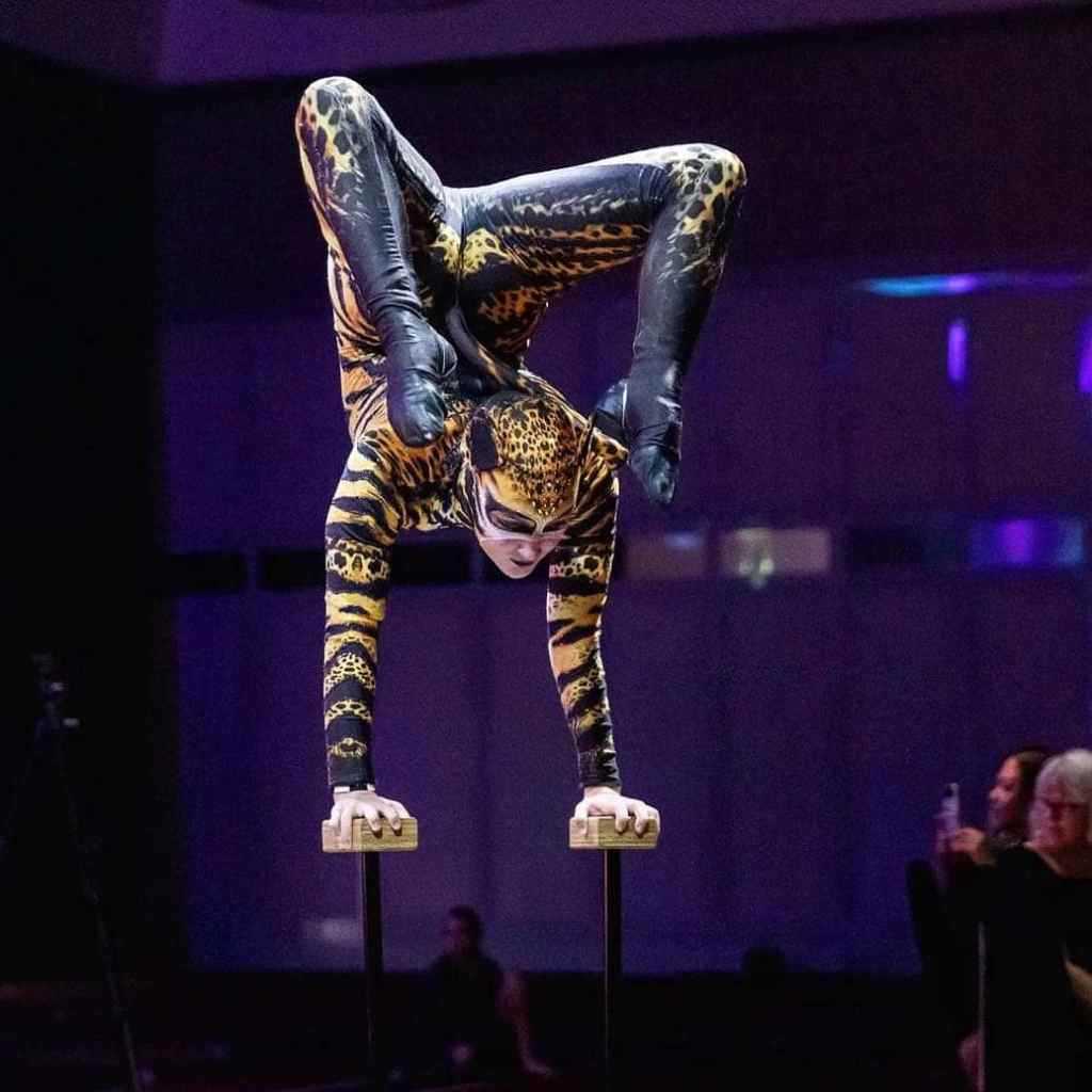 TPPA © Turning Pointe Performance Academy, 2026 – …turning the point of ...